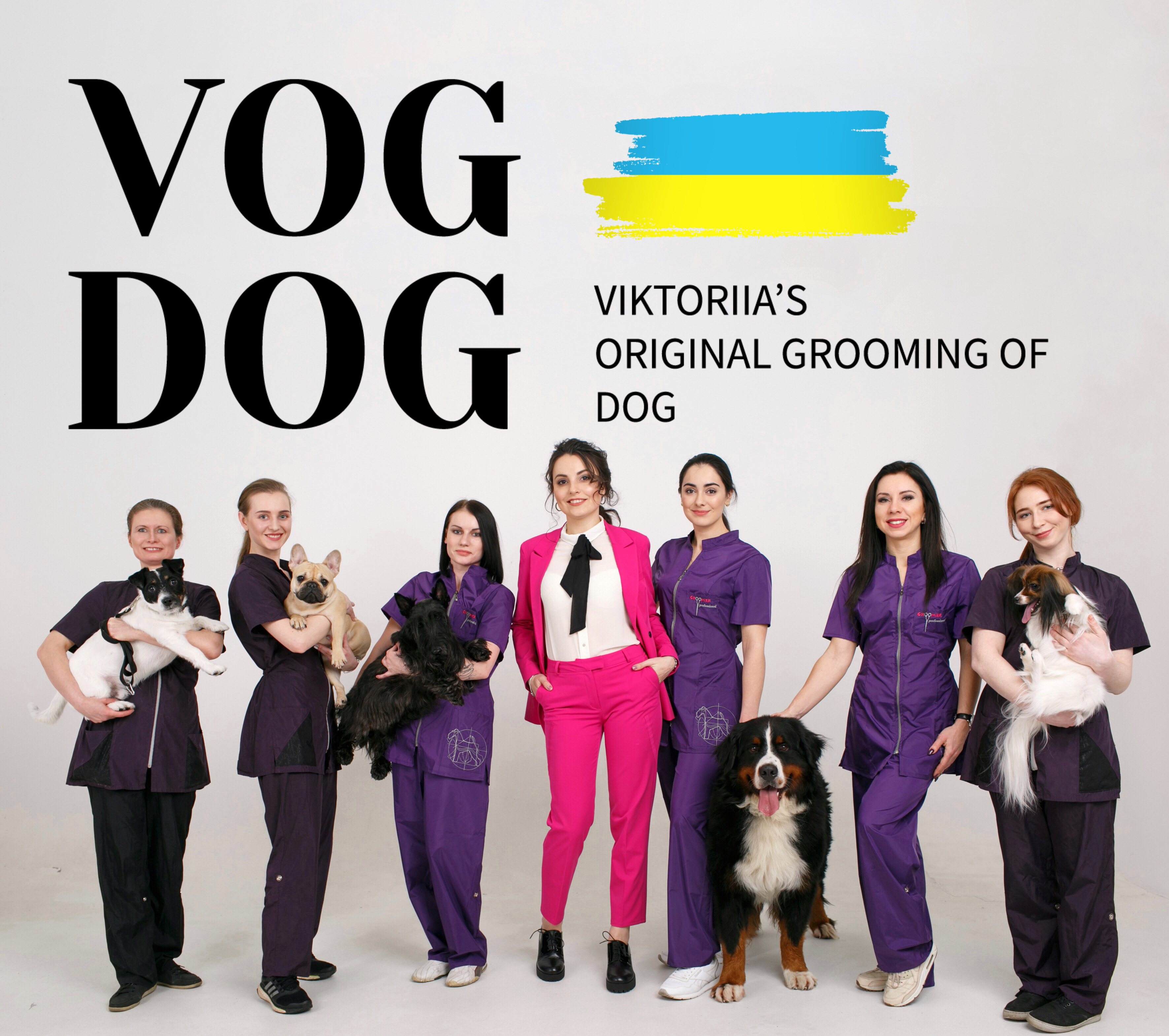 VОG DOG
